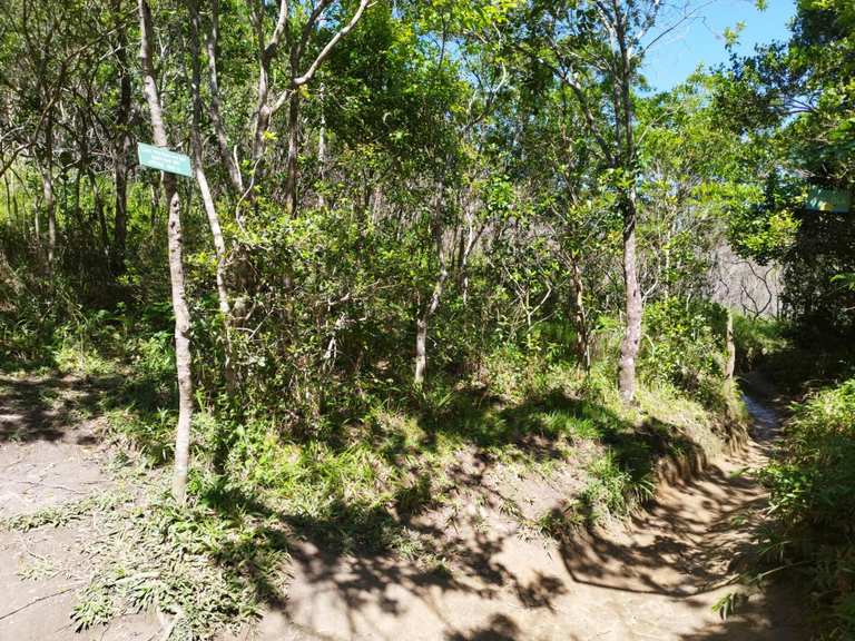 Subida al Morro da Coroa desde Florianópolis — ida y vuelta | Wanderung ...