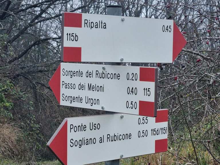 Rubicon Valley Historic Trail (via Route 115D) | Wanderung | Komoot