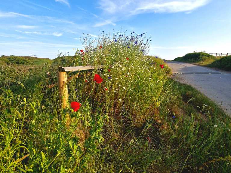 Bird Hide Over the Marshes Routes for Walking and Hiking | Komoot