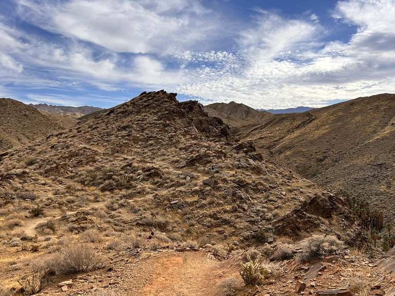 Palm Canyon loop via Victor Trail — Agua Caliente Band of Cahuilla ...