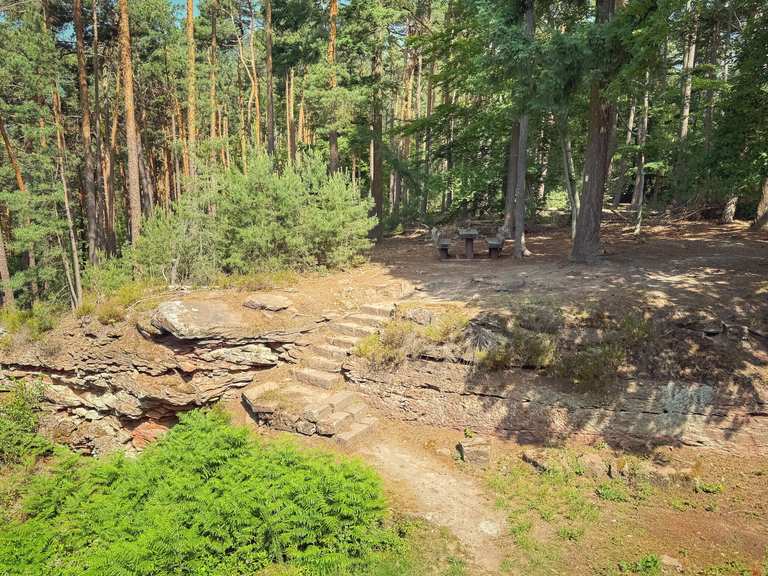 Picnic Area Opposite Schlosseck Castle Ruins Routes for Walking and ...