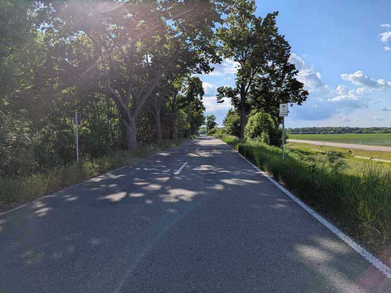 On the Lindendamm (old L73) Cycle Routes and Map | Komoot