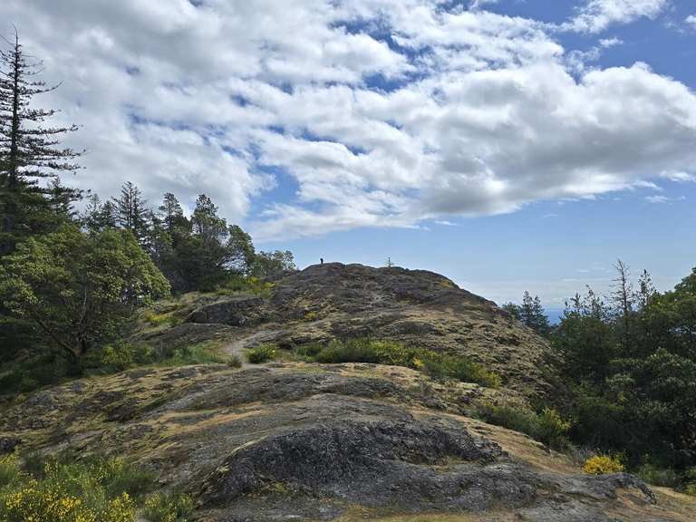 Mount Finlayson Trail - Routes for Walking and Hiking | Komoot