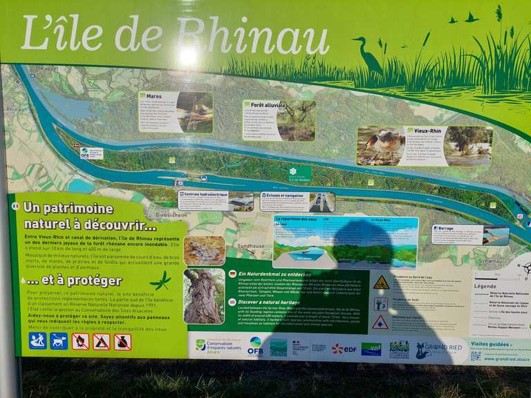 Naturschutzgebiet / Réserve naturelle de l'île de Rhinau: Rennradfahren ...