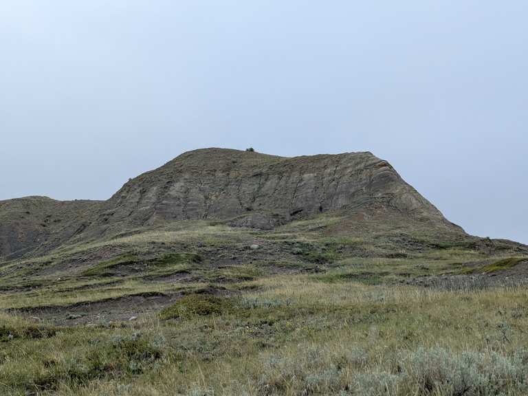 Parc national des Prairies - Itinéraires de rando et marche | Komoot