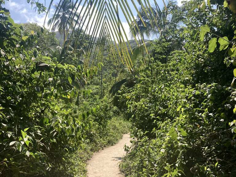 Tayrona National Park Trek: Calabazo Entrance to El Zaino Exit Routes ...