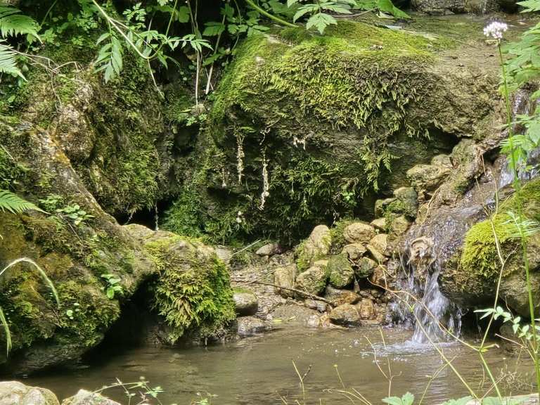 Rund um die Ruine Eppenstein | hike | Komoot