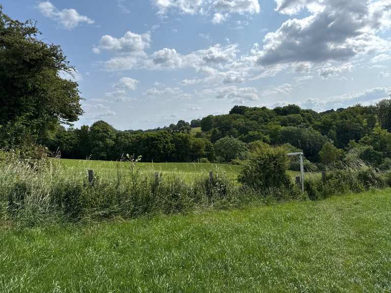 Sentiers de randonnée à travers des prairies fleuries - Itinéraires de ...
