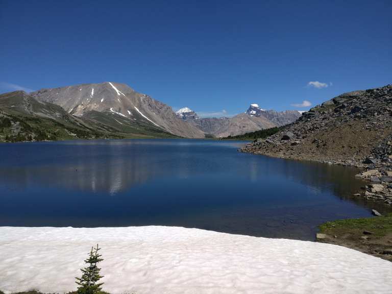 Boulder Pass via Hidden Lake Trail — Banff National Park | 하이킹 | Komoot