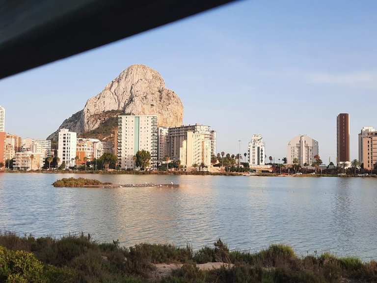 Flamants roses - Itinéraires vélo et carte | Komoot