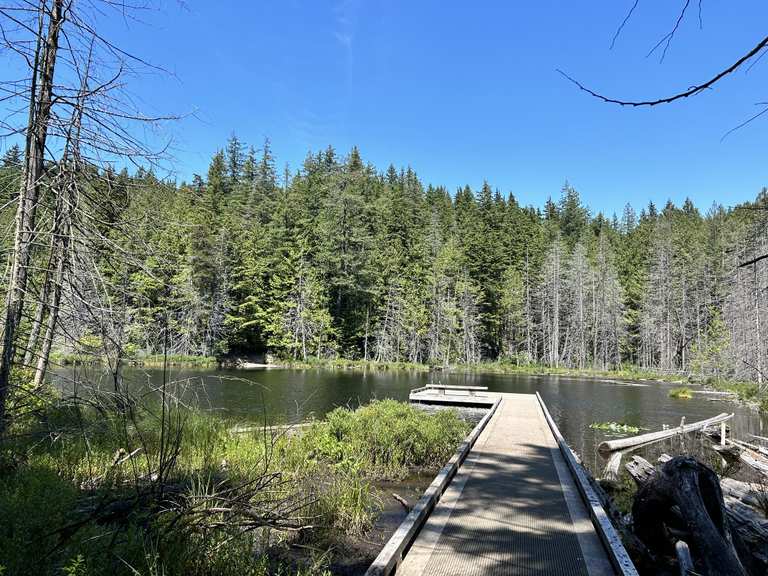 Whyte Lake via Baden Powell Trail — Whyte Lake Park | Wanderung | Komoot