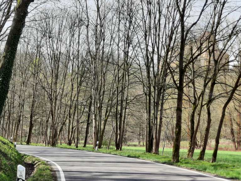 Dittmannsdorf Freiberger Mulde - Road Cycle Routes and Map | Komoot