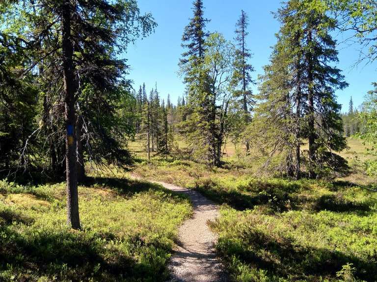 Rytivaara loop – Syöte National Park | run | Komoot