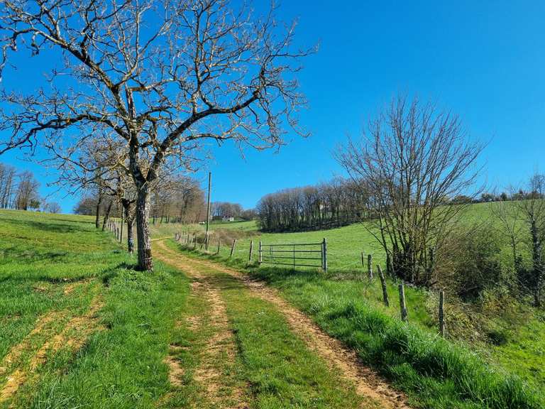 Nice grassy rolling path Cycle Routes and Map | Komoot