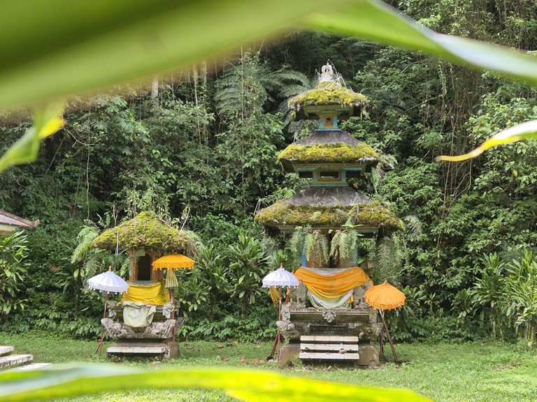 Lago Tamblingan – Pura Ulun Danu Tamblingan giro ad anello con partenza ...