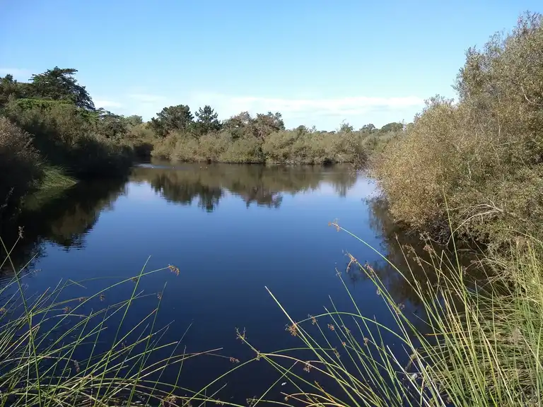 Oceano Lagoon loop — Pismo State Beach | Wanderung | Komoot