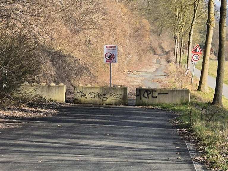 Verlassene Straße, von der Natur zurückerobert (Teutoburger Wald ...