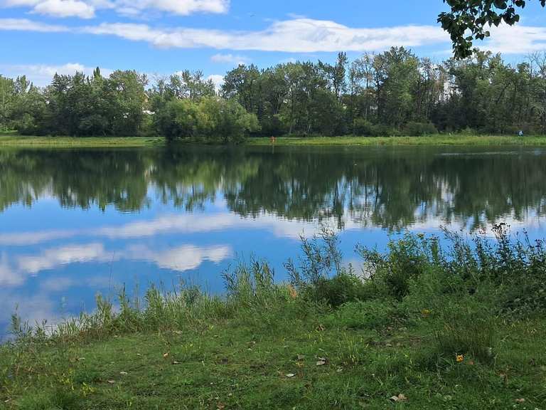Bow River Pathway to Carburn Pond Park loop — Sue Higgins Park ...