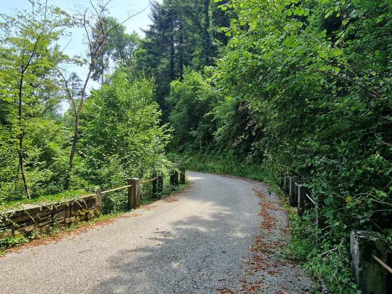 Straße des Tals des Torrente Zimor: Radtouren und Radwege | komoot