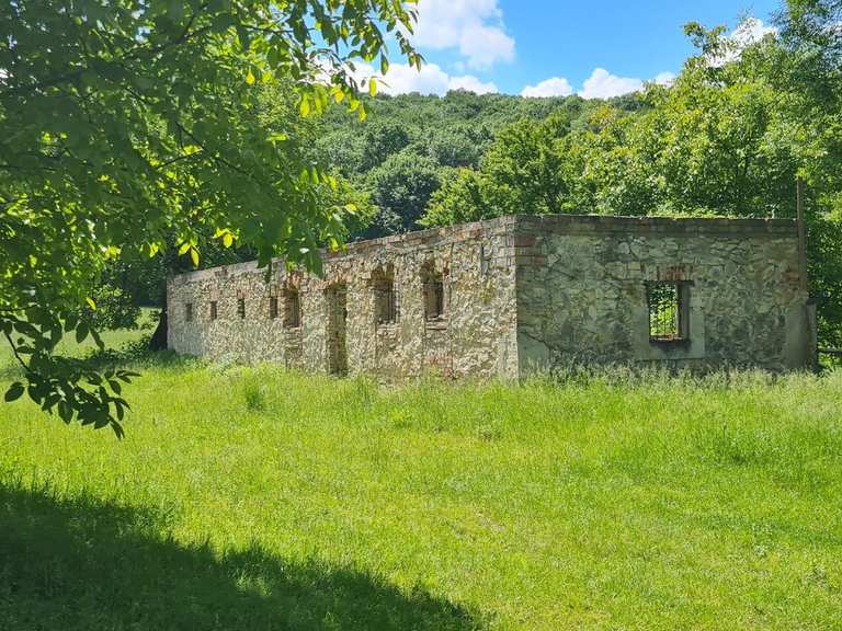 Országos Kéktúra Stamp Point, Mindszentpuszta - Mountain Bike Trails ...