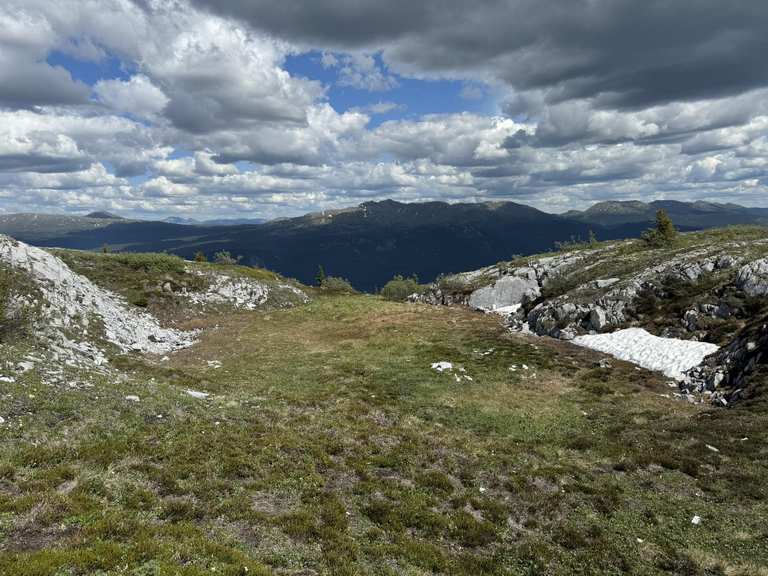 Grey Mountain Summit & Grey Mountain Cave loop — Whitehorse | Caminata ...