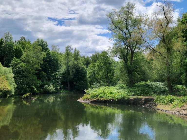 Riserva naturale Heisinger Ruhraue : percorsi ciclabili | Komoot