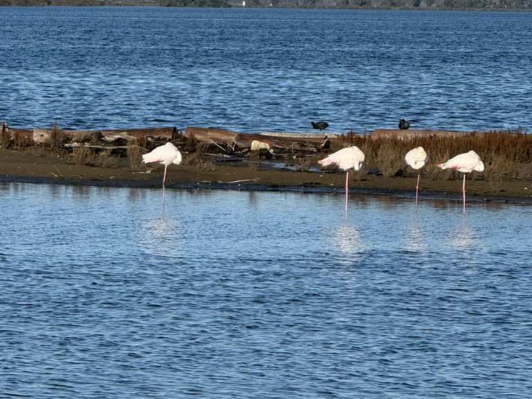 Lake Caprolace – Pantani dell’Inferno Nature Reserve Road Cycle Routes ...