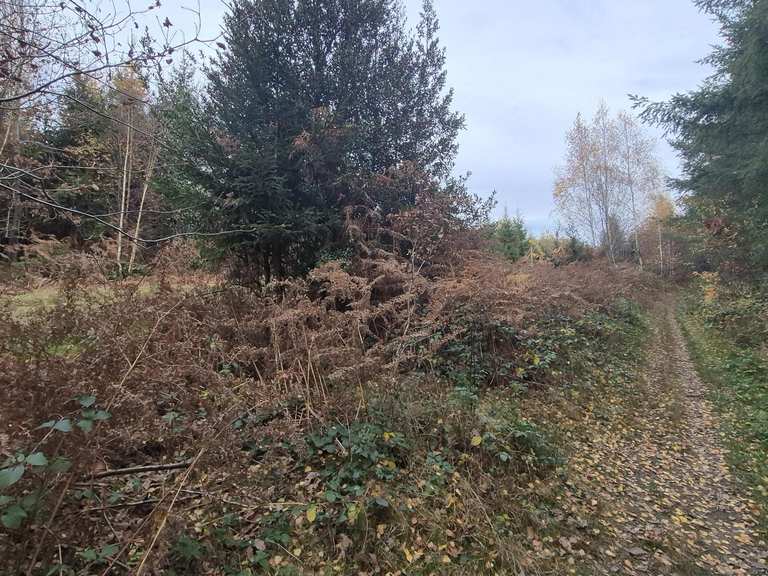 Schöner Wanderweg: Wanderungen und Rundwege | komoot