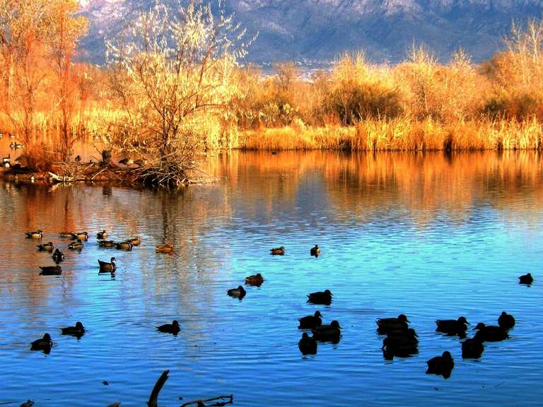 Rio Grande Bosque Loop via Nature Center — Rio Grande Bosque ...