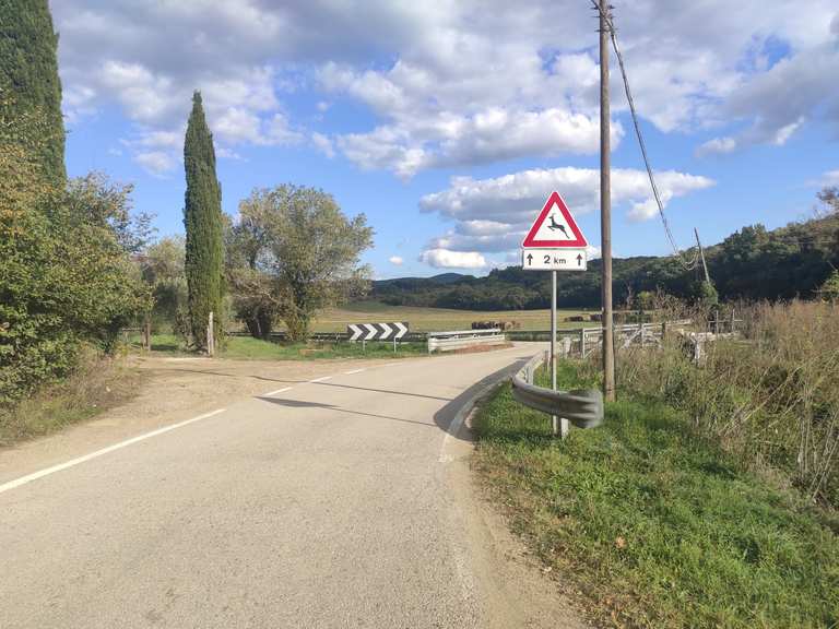 Brücke über den Fluss Pecora – Radrouten & Anfahrt | Komoot