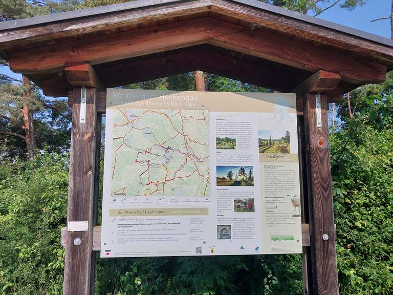 Storrenberg – Wachholder Landschaft Runde von Dachtel | Wanderung | Komoot