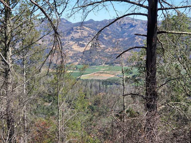 Bothe-Napa Valley State Park: Wanderungen und Rundwege | komoot