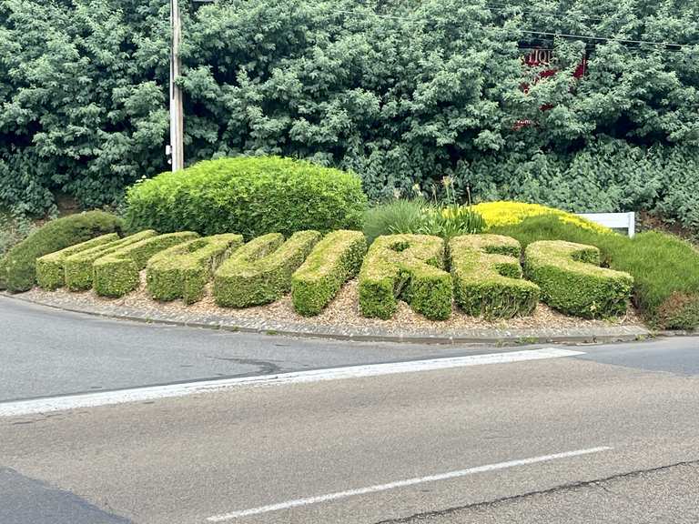 Palm trees over palm trees - Cycle Routes and Map | Komoot