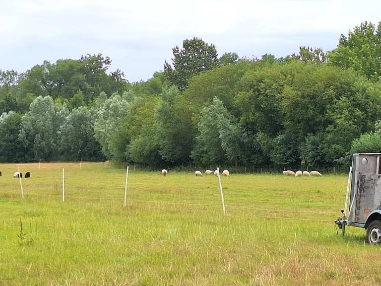 Schaapskooi Schijndel: Wanderungen und Rundwege | komoot
