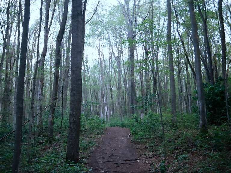 Wendat Pfad: Wanderungen und Rundwege | komoot