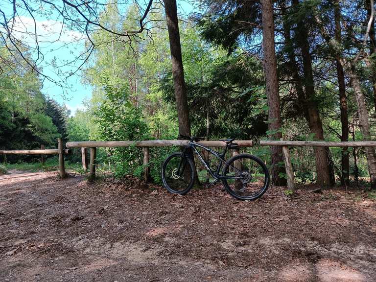 Mountain Bike Descent Trail – Utrechtse Heuvelrug – Cycling Routes ...