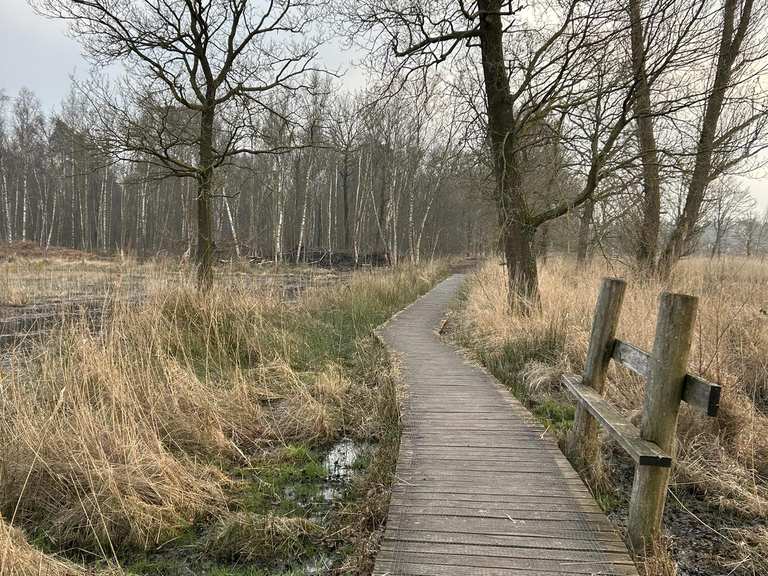 Passerelle en bois sur le paysage de tourbières - Itinéraires de rando ...