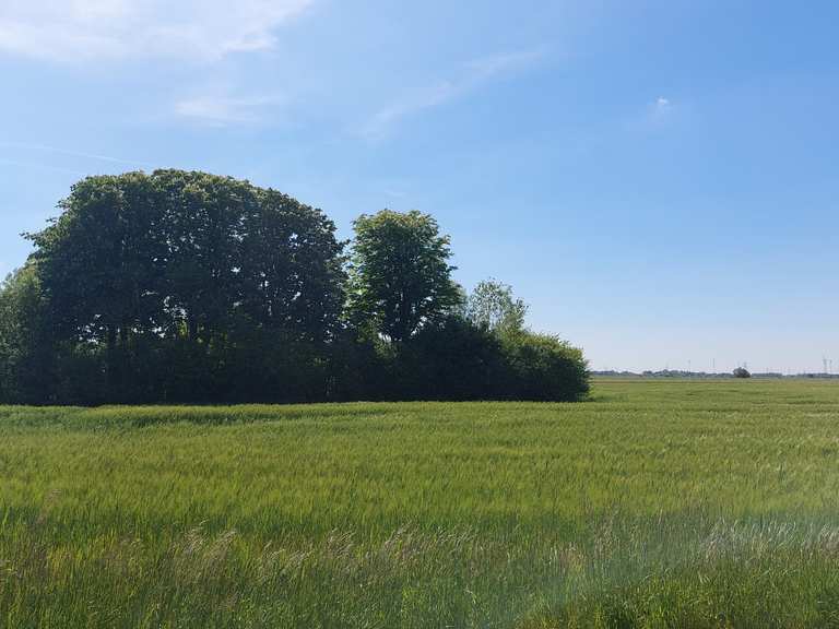 Jewish Cemetery Ovelgönne Memorial Routes for Walking and Hiking | Komoot