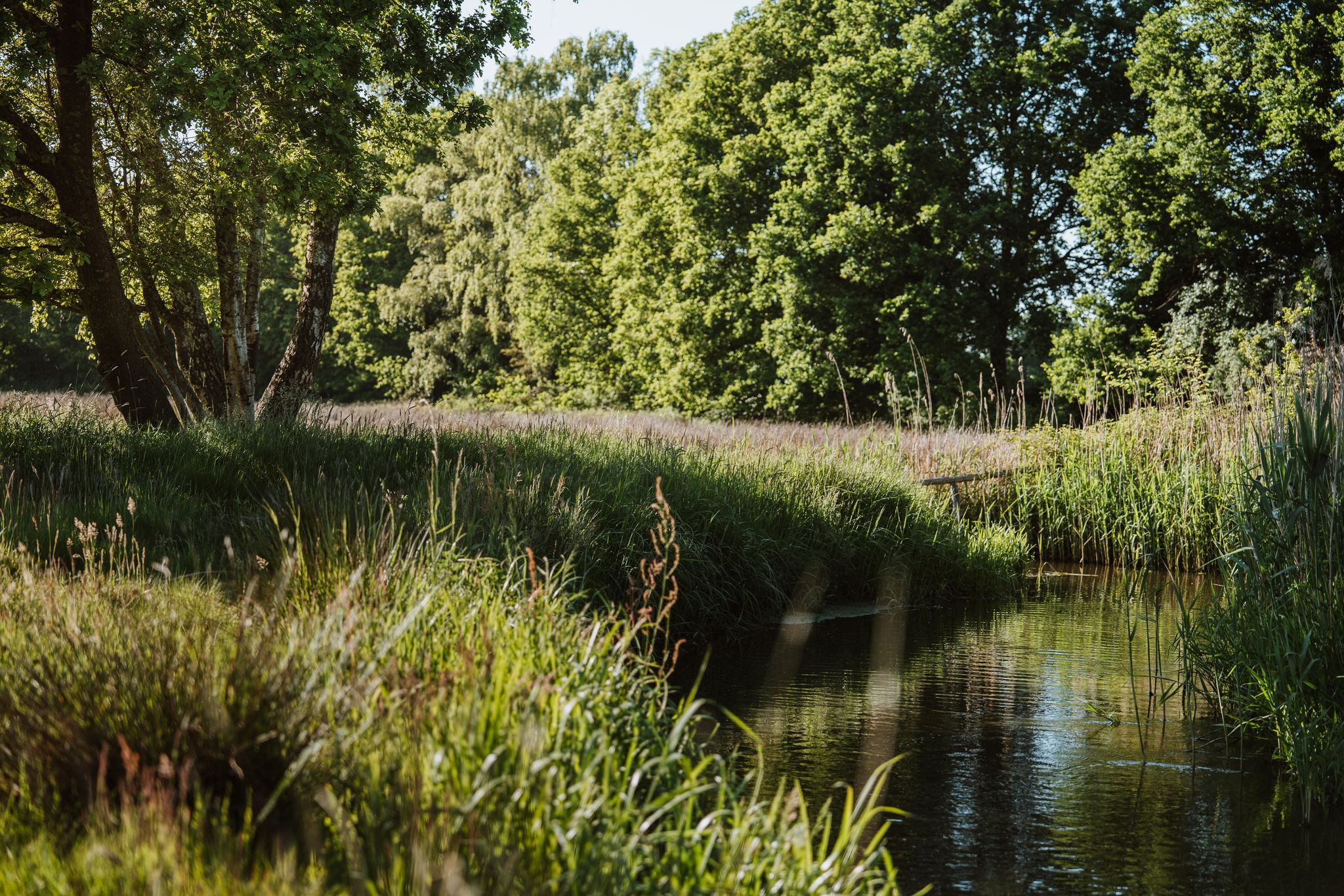 Leerroute Oisterwijk | Paseo en bici | Komoot