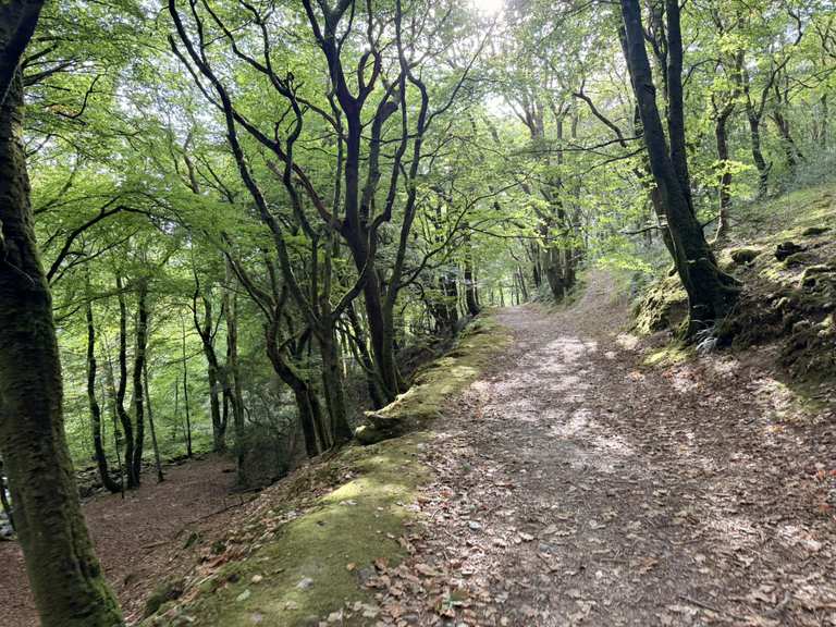 Senda del bosque de Afon Ysgethin y puente de piedra: Rutas MTB | Komoot