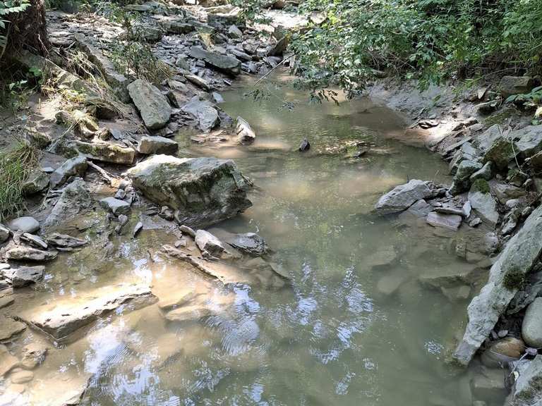 Mystery Falls via Ausable River Trail loop — Arkona | Wanderung | Komoot