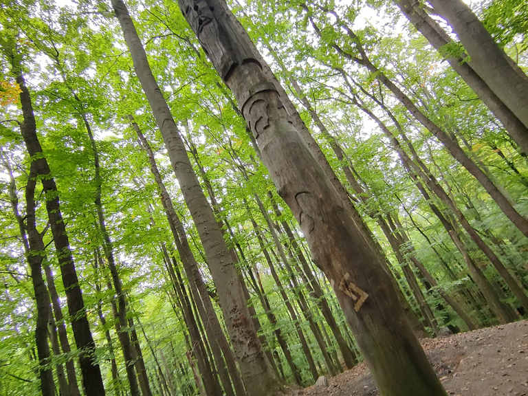 Trygław Hill Slavic Pagan Sanctuary - Cycle Routes and Map | Komoot