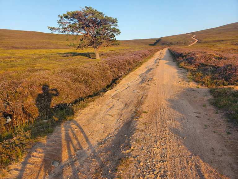 Burma Road North: Mountainbike-Touren und -Trails | komoot
