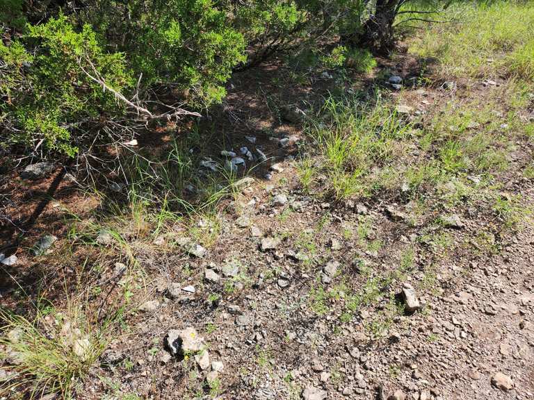 Government Canyon State Natural Area loop via Twin Oaks Trail — San ...