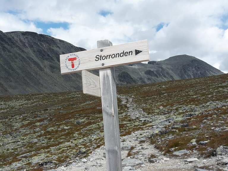 Storronden from Rondvassbu – Rondane National Park | run | Komoot