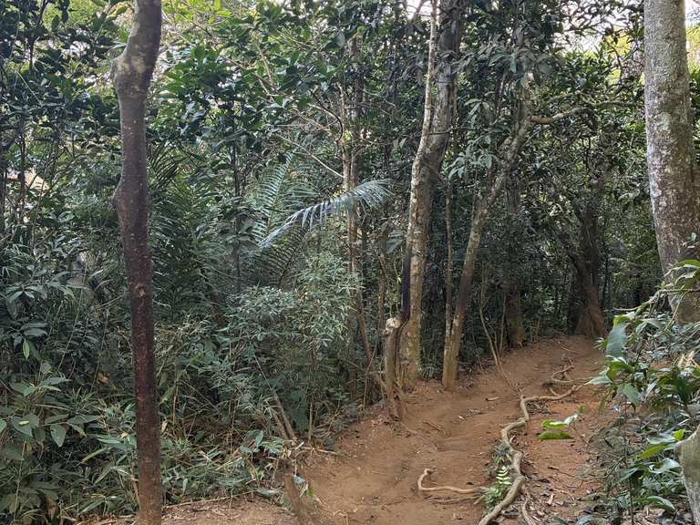 Two Brothers Trail Routes for Walking and Hiking | Komoot