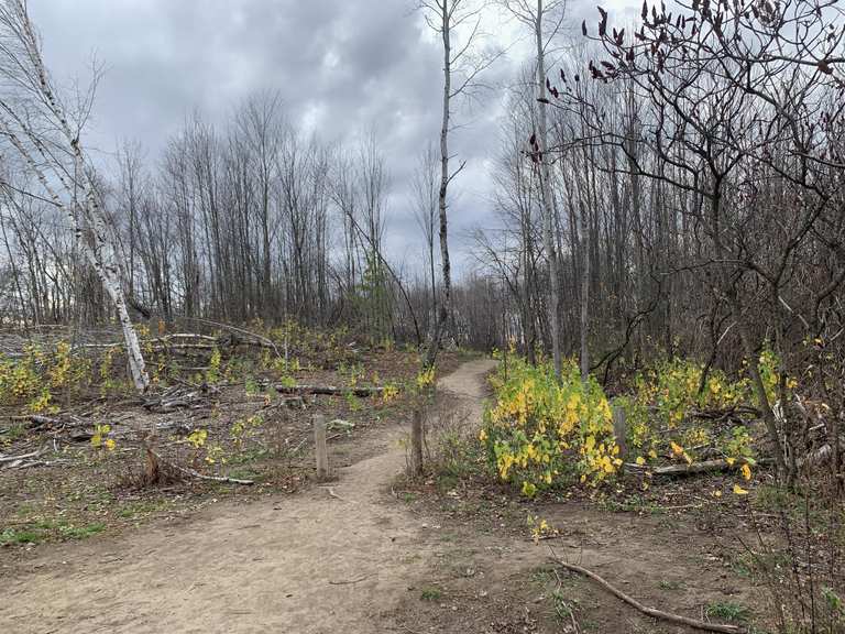 Conroy Pit loop — Ottawa | wandeling | Komoot