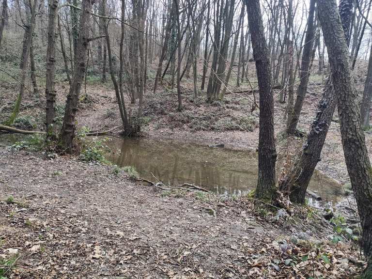 Sentiero della Collina Torinese from Po River to Parco della Maddalena ...