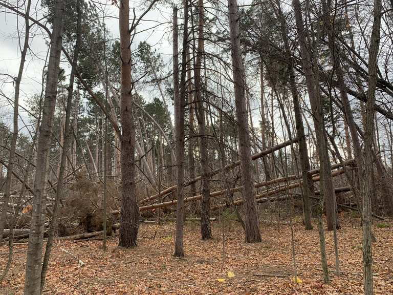 Conroy Pit loop — Ottawa | wandeling | Komoot