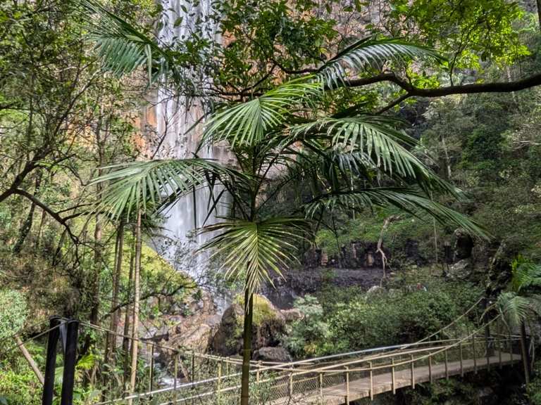 Purling Brook Falls Circuit | hike | Komoot